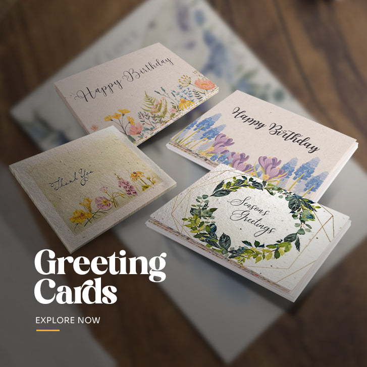 Greeting Cards - Seed Bloom Gifts
