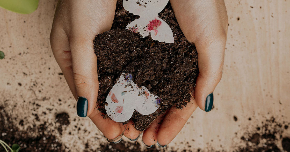 Contact Us for More Information Today - Seed Bloom Gifts